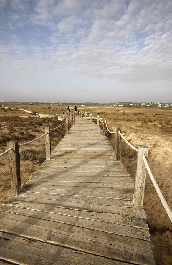 Wooden Path Along the Shore of the Lake, Plank Deck, Modern Landscape ...