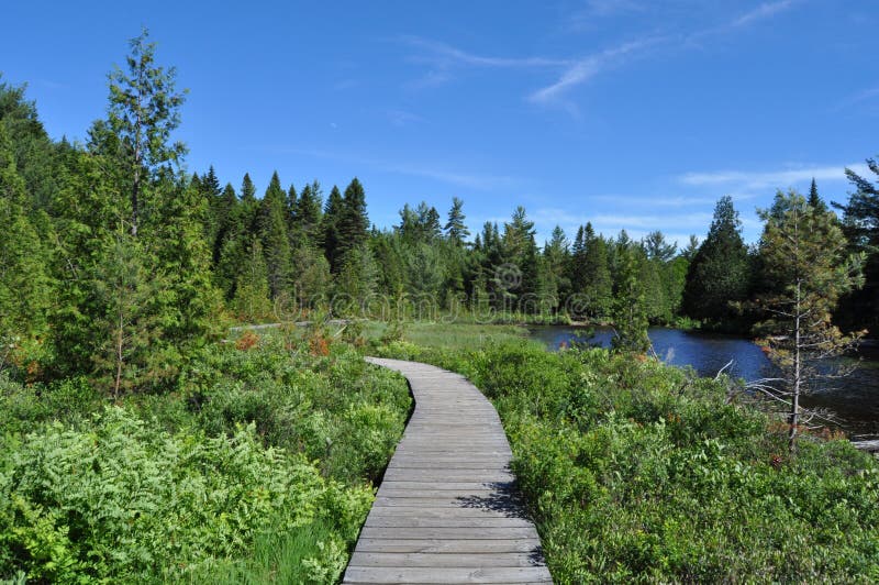 Wooden Path Across the Lake Stock Image - Image of bosque, wooden: 75922063