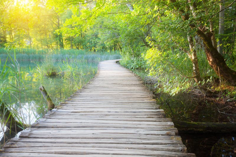 Wooden path across river stock photo. Image of season - 84779652
