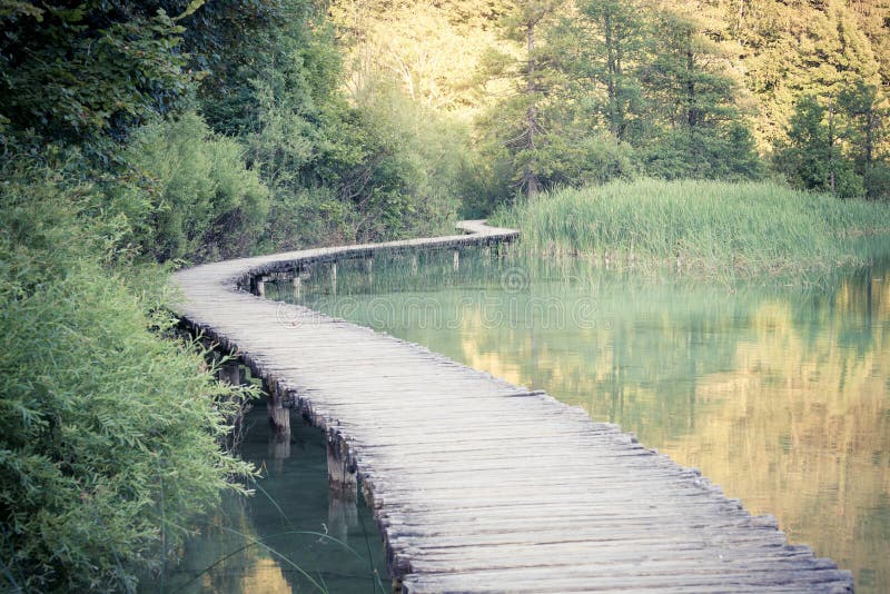 Wooden path across river stock photo. Image of spring - 84809966