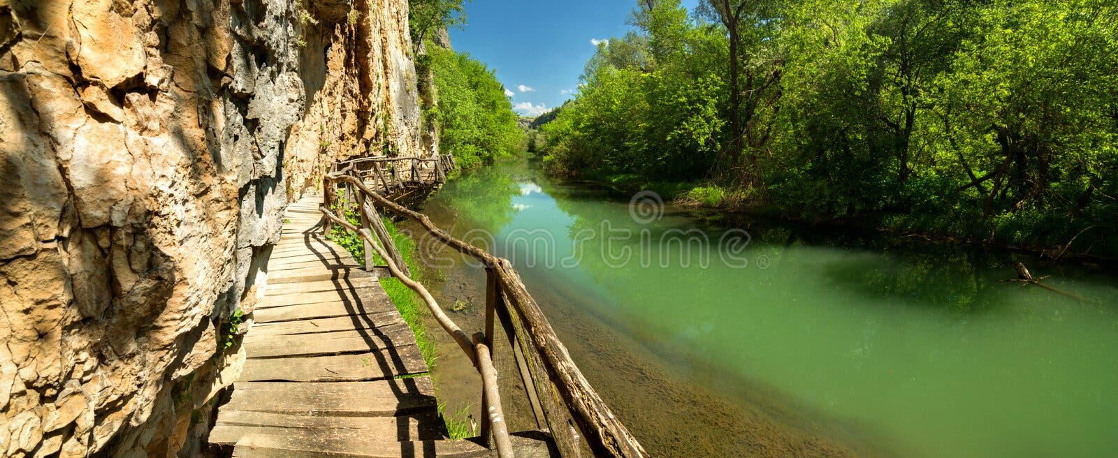 Deep forest path stock image. Image of freedom, leaves - 4519869