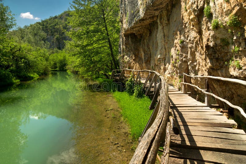 Wooden Path Along the River Stock Image - Image of pedestrian, forest ...
