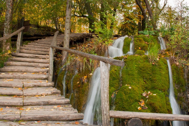 Wooden Path Along The Stream In Forest Stock Image - Image of waterfall ...