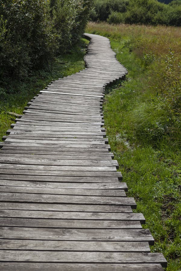 Wooden path stock photo. Image of abstract, nature, path - 155123540