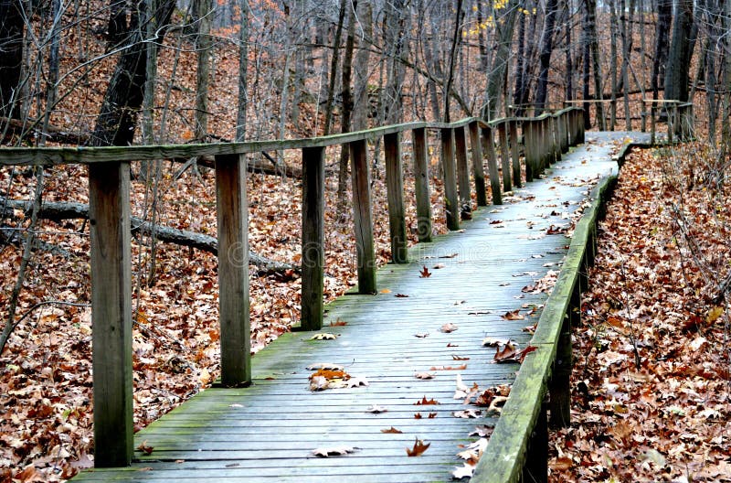 Wooden path bridge stock image. Image of wooden, road - 46772905