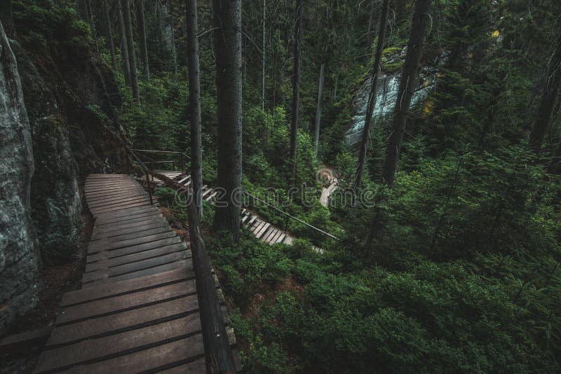 Wooden Path Deep in the Forest in Czech Republic Stock Image - Image of ...
