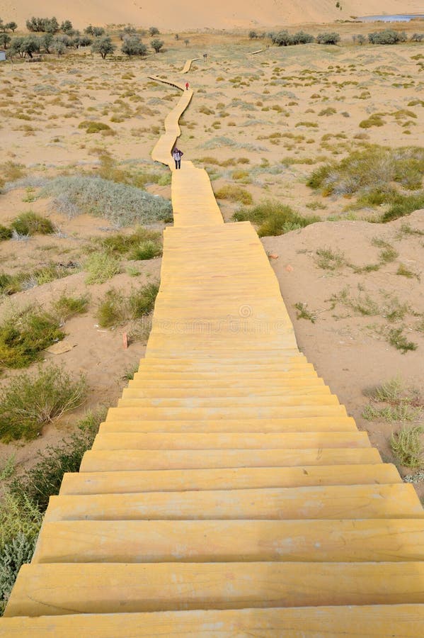 Wooden path in desert stock photo. Image of bend, foot - 28105364