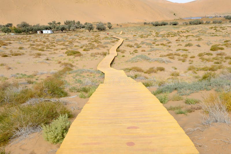 Wooden path in desert stock photo. Image of gobi, lane - 28105572