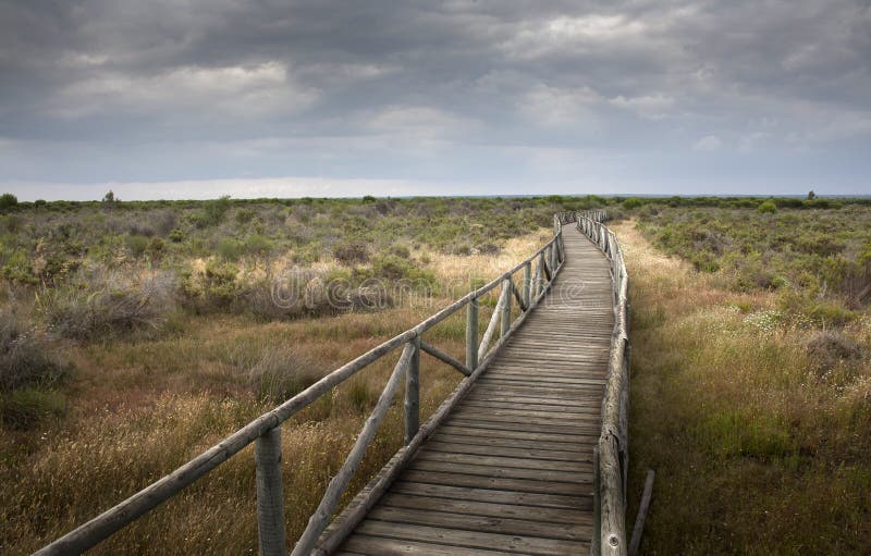 Wooden Path in Flat Land To Horizon Stock Image - Image of scenary ...