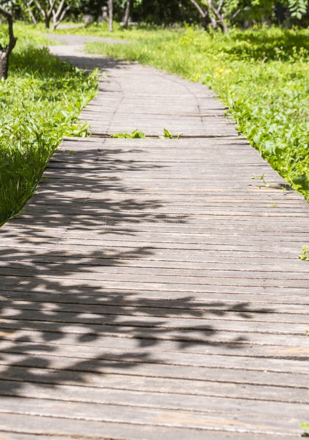 Wooden path stock photo. Image of blurred, effect, meadow - 41199856