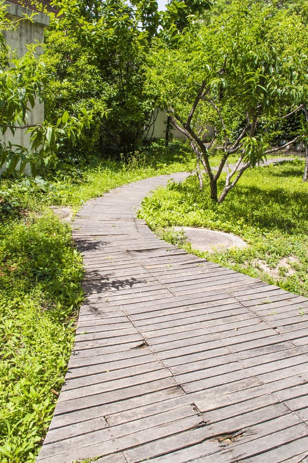 Wooden path 2 stock image. Image of planks, destination - 41199789