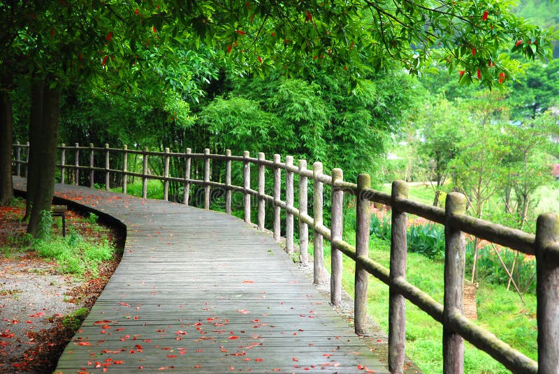 Wooden path and handrail stock image. Image of natural - 27232083