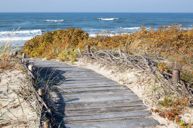 Wooden Path Leading To the Beach Stock Image - Image of shore, holiday ...