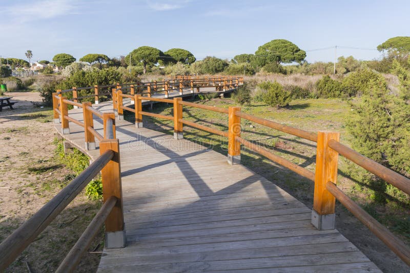 Wooden Path in Natural Surroundings Stock Photo - Image of foliage ...
