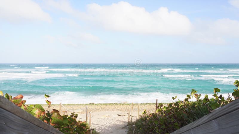 Path through the Dunes in Bali Beach Stock Video - Video of aqua, ocean ...