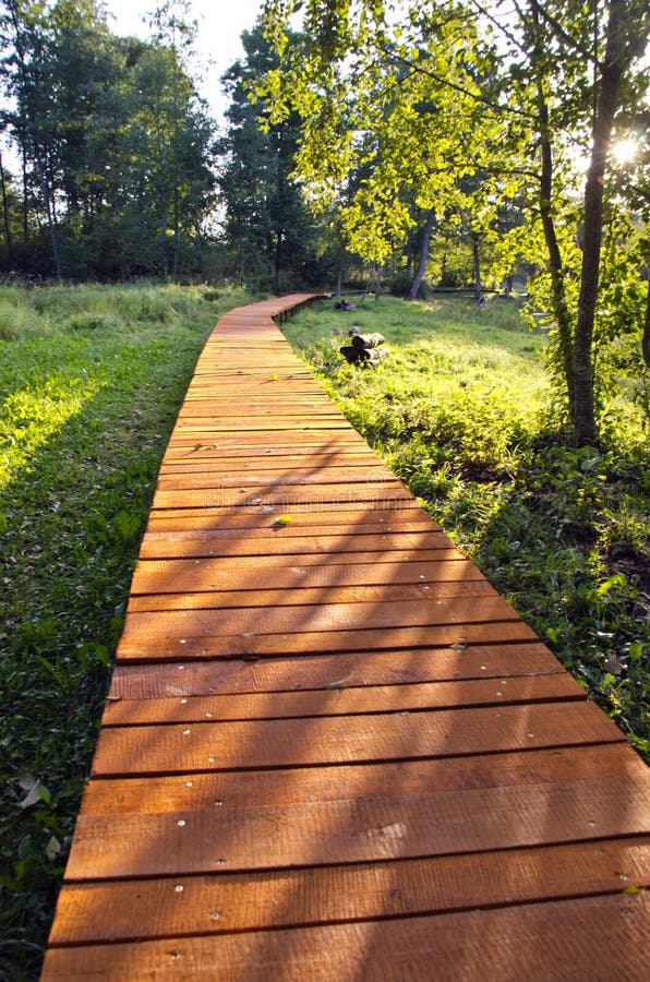 Wooden path through park stock photo. Image of form, grass - 63194274