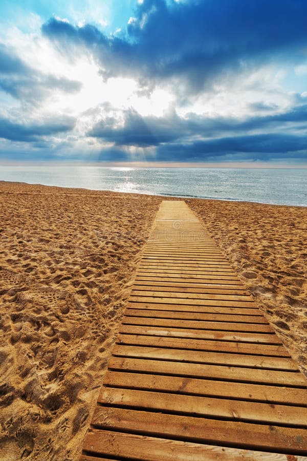 Wooden Path Along the Shore of the Lake, Plank Deck, Modern Landscape ...
