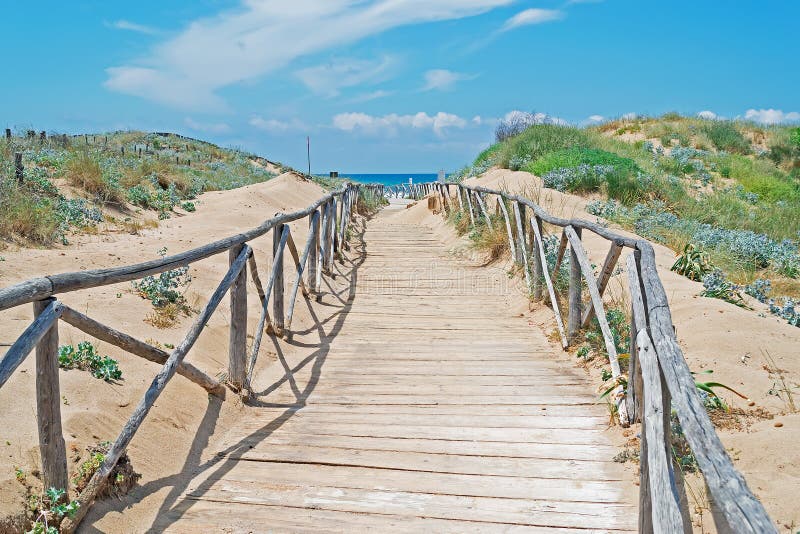 Wooden path by the shore stock photo. Image of landscape - 37438858