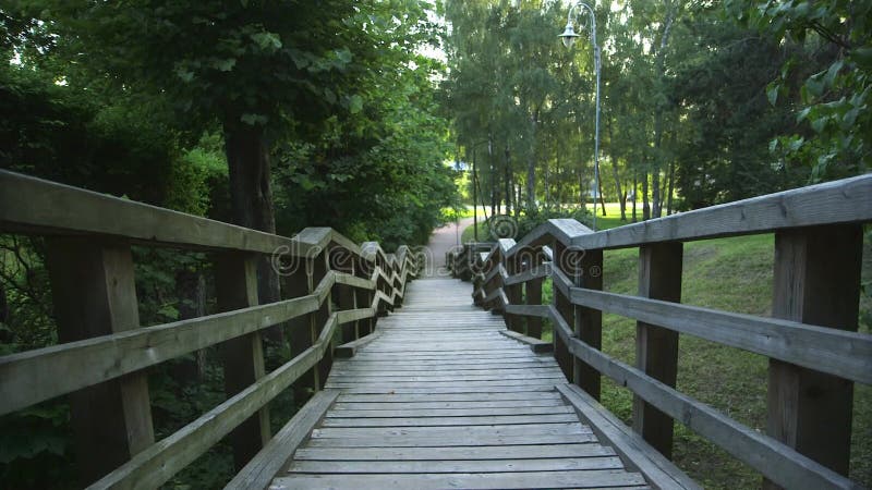 Wooden Path with Steps and Railings in the Park Stock Footage - Video ...