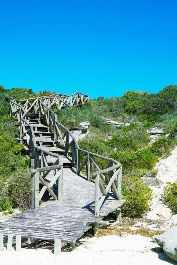 Wooden path to the beach stock photo. Image of coast, footpath - 3153828