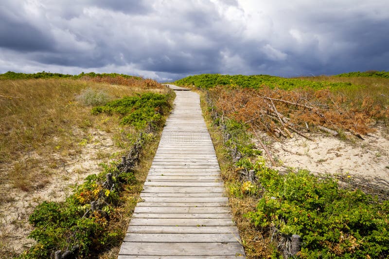 Wooden path texture stock image. Image of path, empty - 35326189