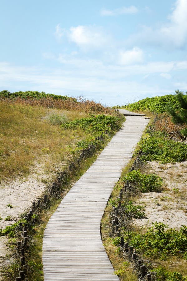 Wooden path texture stock image. Image of path, empty - 35326189