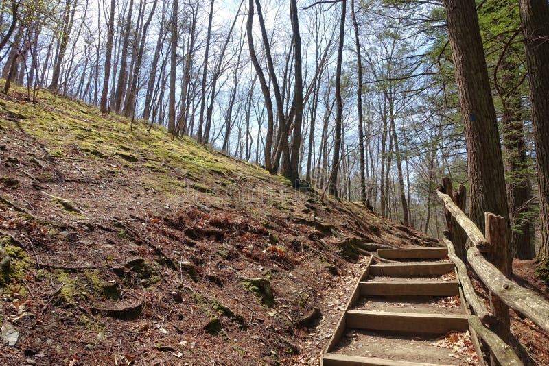 Bushkill Falls in spring stock image. Image of hiking - 94393459