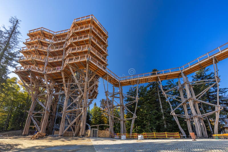 Wooden Path among the Trees in Krynica. Editorial Stock Photo - Image ...