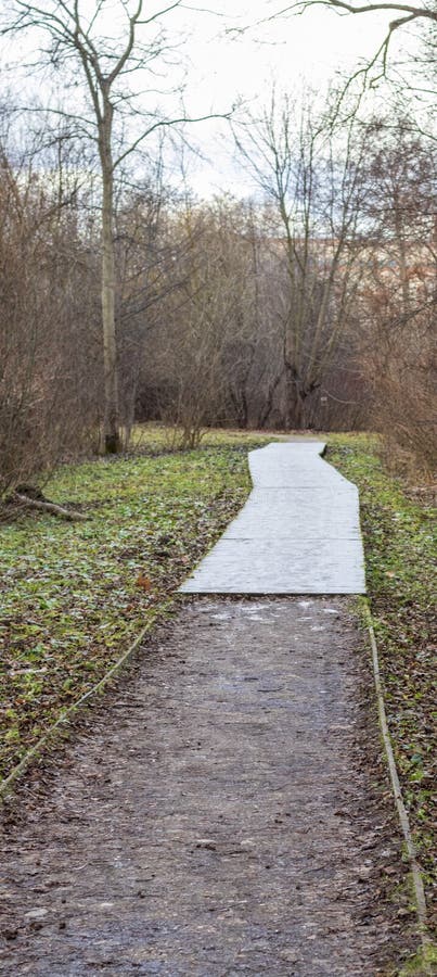Wooden Path Walk in the Park Covered with Frost. Concept Stock ...