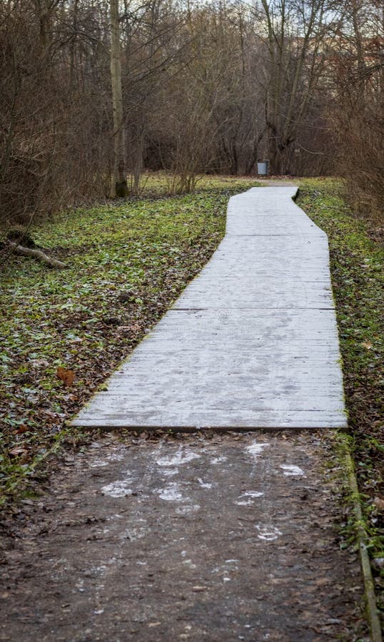 Wooden Path Walk in the Park Covered with Frost. Concept Stock ...