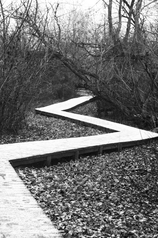 Wooden Path Walk in the Park Covered with Frost. Concept Stock ...