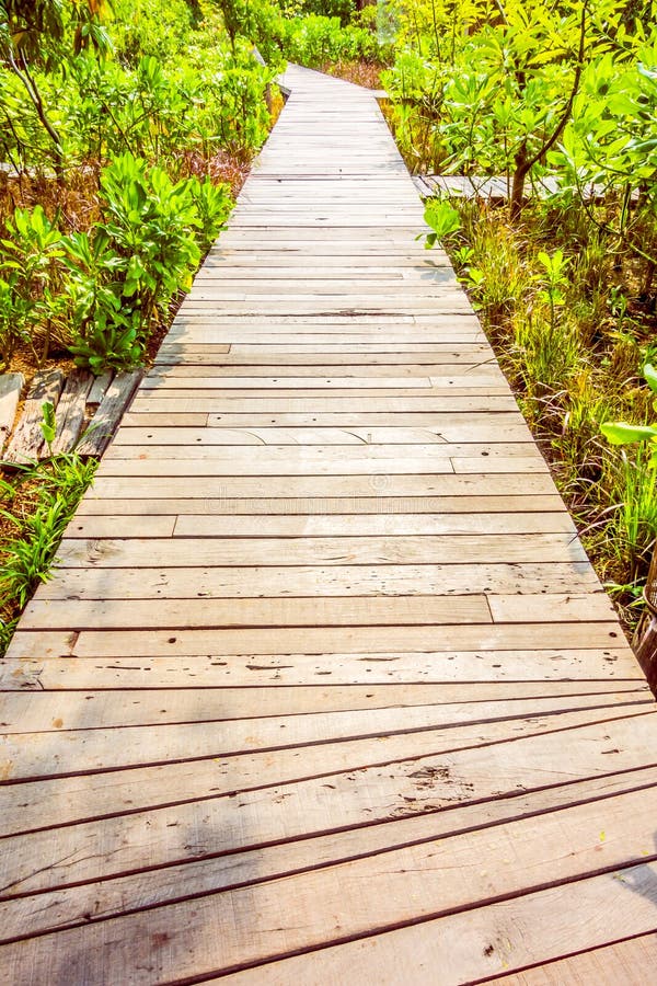 Wooden path for walking stock image. Image of outdoor - 66268211