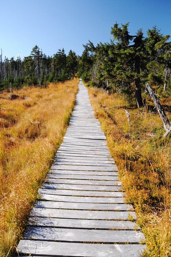 Wooden Path Walkway, Czech Republic Stock Photo - Image of orange ...