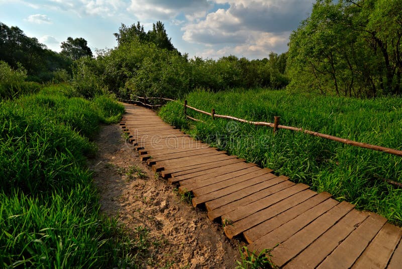 Wooden pathway stock image. Image of brown, solitude - 11079563