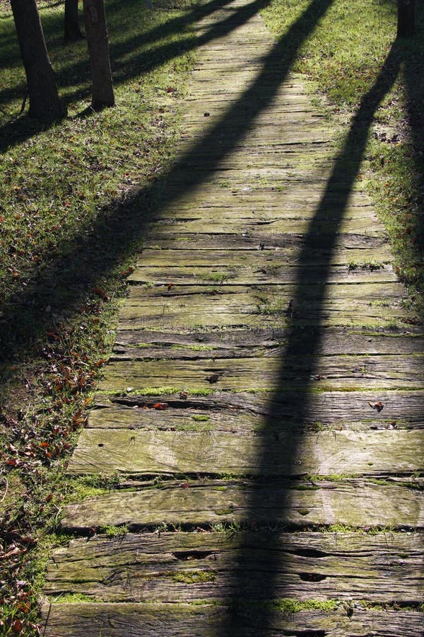 Wooden pathway stock photo. Image of beauty, footpath - 13544952