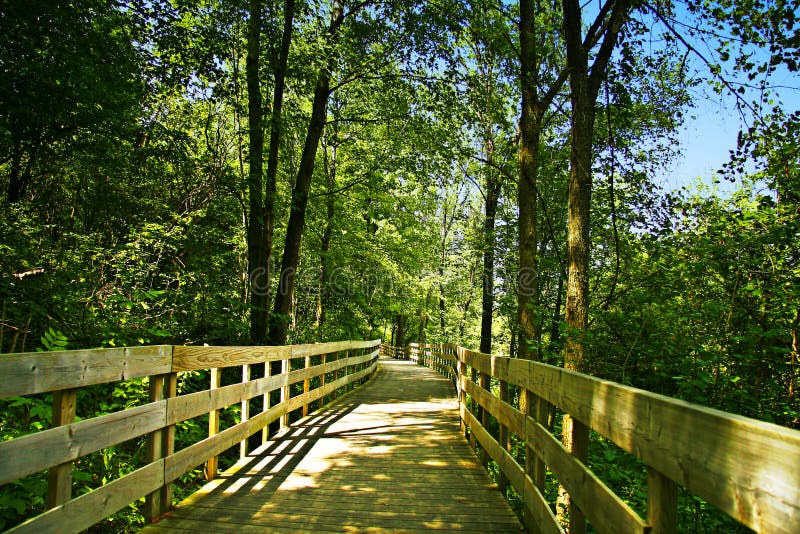 Wooden pathway stock image. Image of walk, guide, planks - 21367103