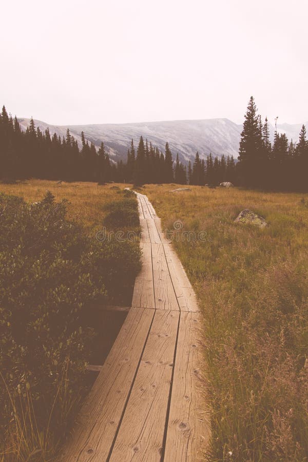 Wooden Pathway Built in a Large Green Field with Pine Trees and Hills ...