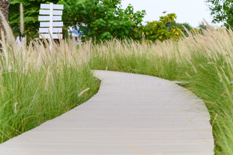 Wooden Pathway through Grass Flowers Field Stock Image - Image of leaf ...