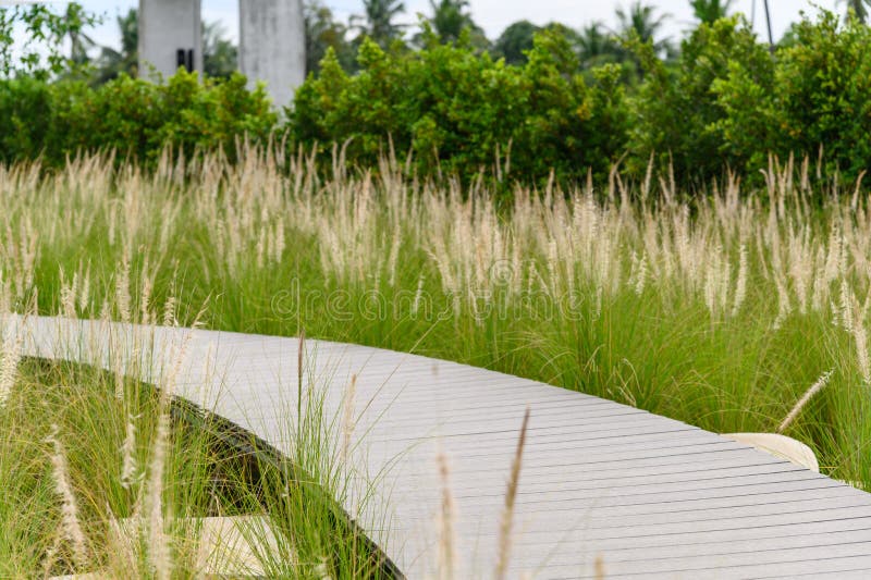 Wooden Pathway through Grass Flowers Field Stock Image - Image of ...