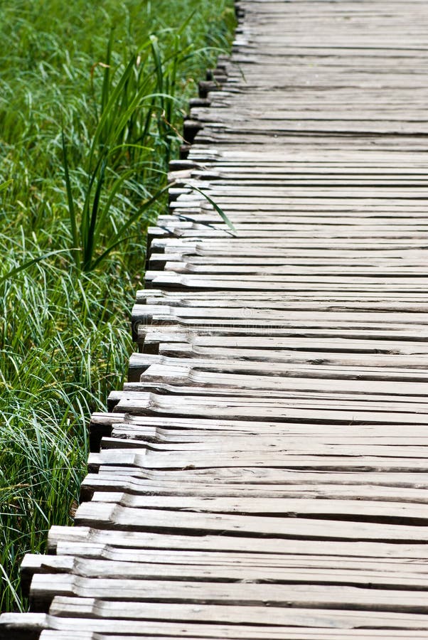 Wooden pathway stock photo. Image of trail, bridge, grass - 33380648