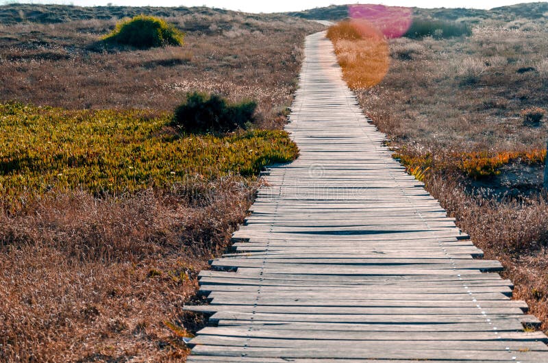 Wooden Pathway Leading into the Distance Towards Sunset Stock Image ...
