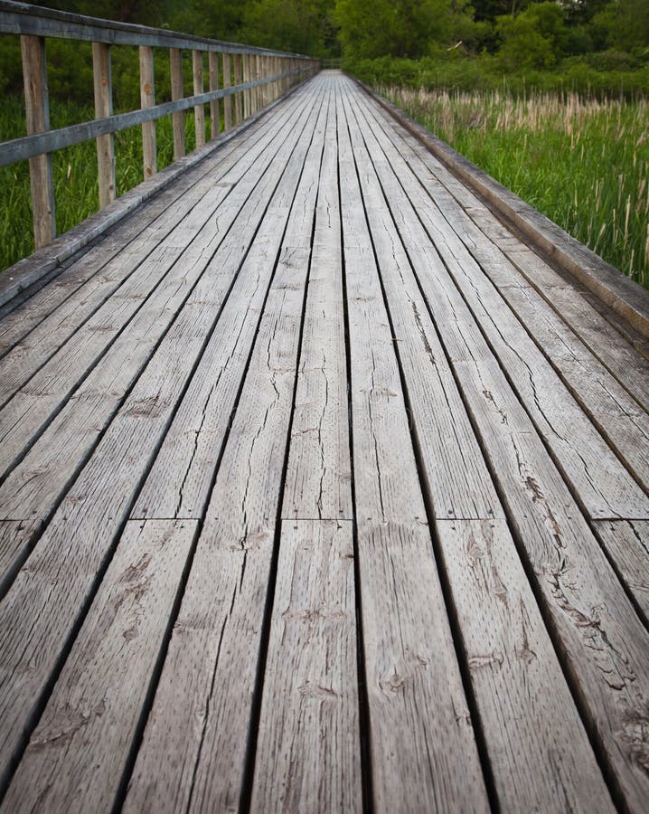 Wooden Pathway Through Marsh Stock Image - Image of trees, railing ...