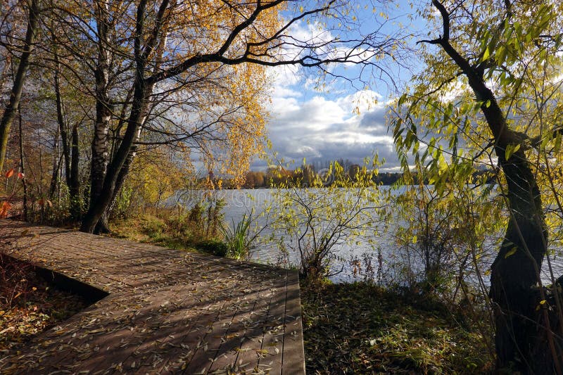 Wooden Path Near River Shore Going through the Dense Autumn Deciduous ...