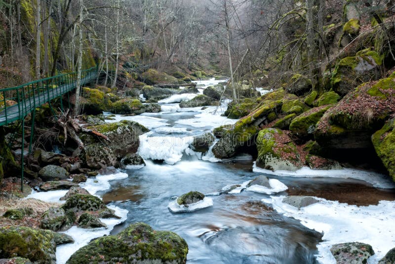Wooden Pathway Over the River Stock Image - Image of tree, country ...