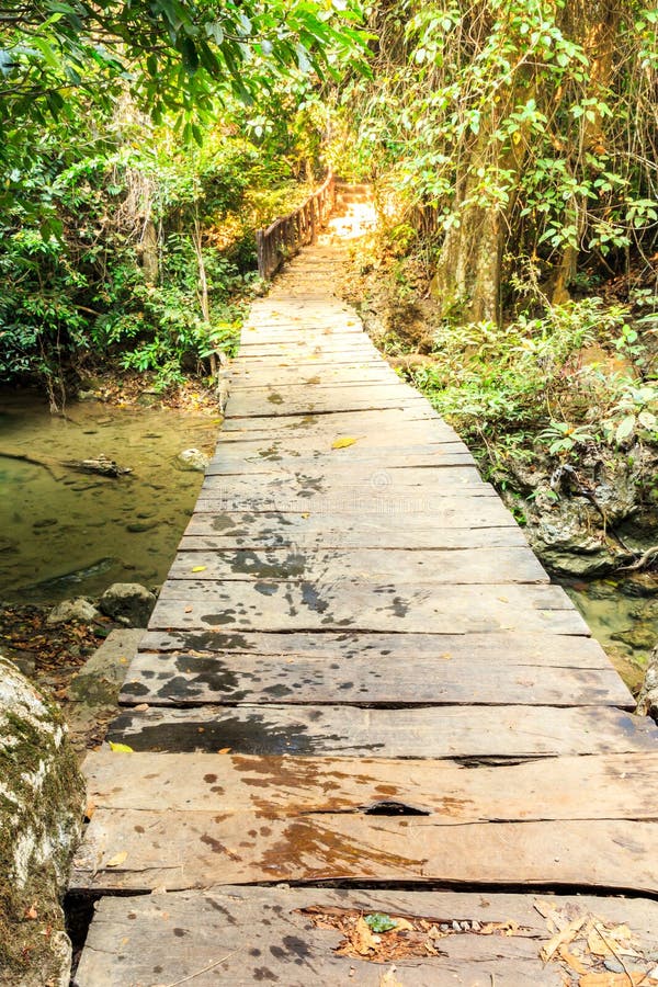 Wooden Pathway Over Waterfall in Forest Stock Image - Image of ...