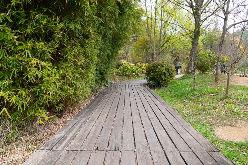 Wooden pathway stock image. Image of track, park, perspective - 311642873