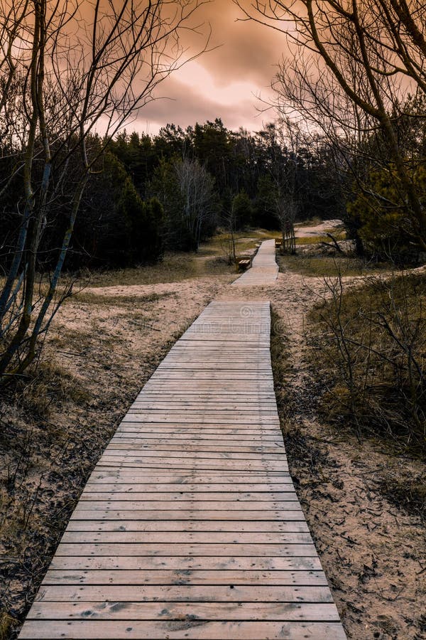 Wooden pathway in the park stock photo. Image of rural - 78543222