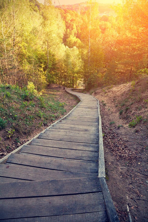 Wooden pathway in the park stock photo. Image of rural - 78543222
