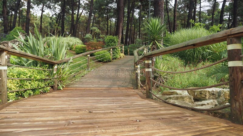 Wooden Pathway in a Park in Istanbul Stock Footage - Video of unique ...