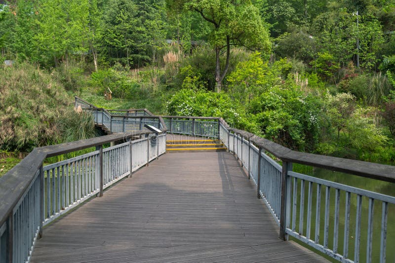 Park Pathway with Sunshine Light Stock Image - Image of park, natural ...